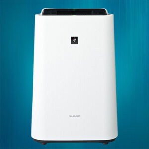 The Best Air Purifiers in Japan: Expert Review in 2026 - Sakuron Japan